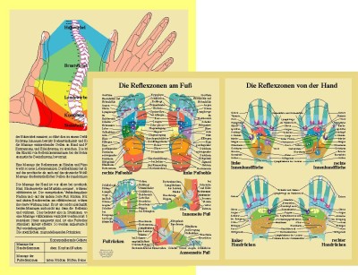Reflexzonen an der Hand und am Fuß